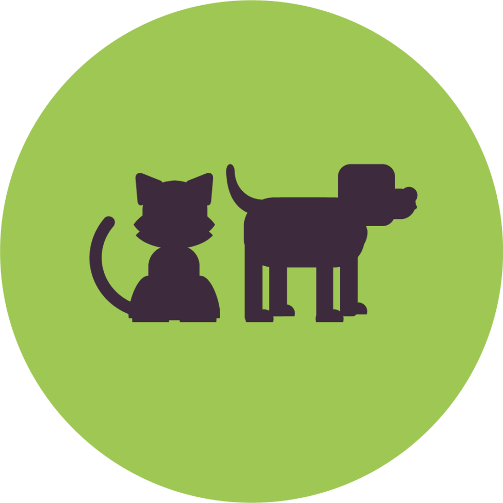 Veterinarian Elyria, Oberlin | Fox Veterinary Hospital