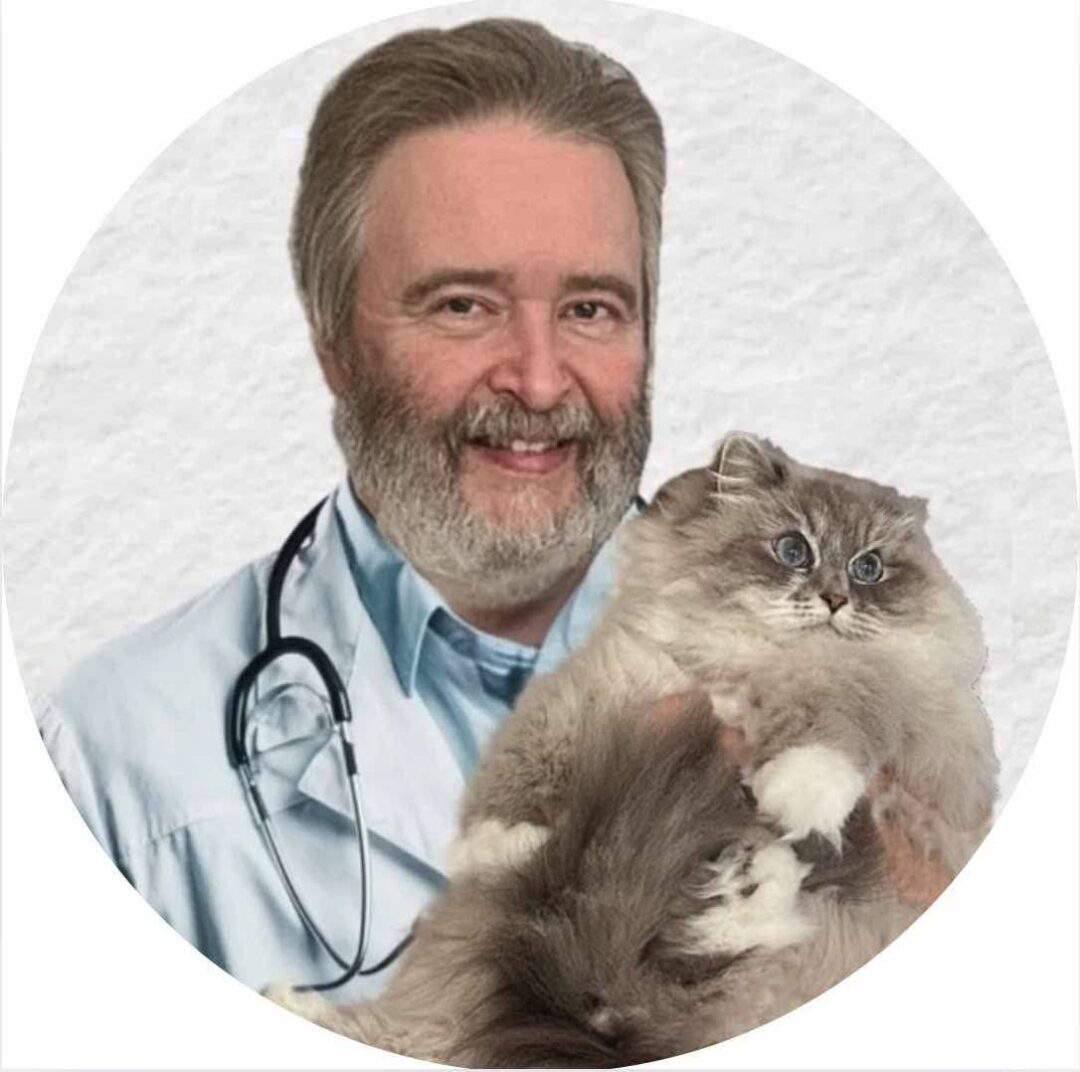 Meet the Team | Fox Veterinary Hospital